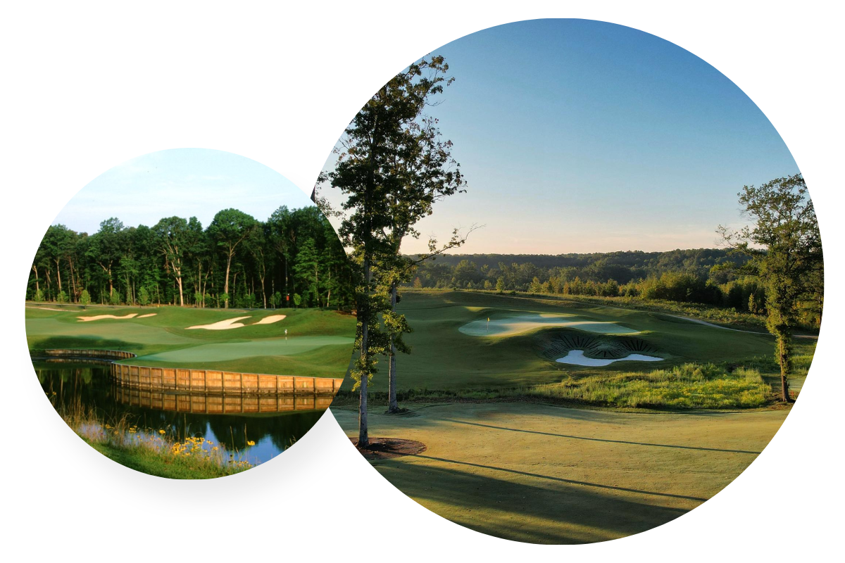 VSGA - VIP Card Courses & Offers